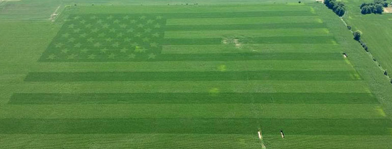 Check out this amazing creation • The Ohio Beacon